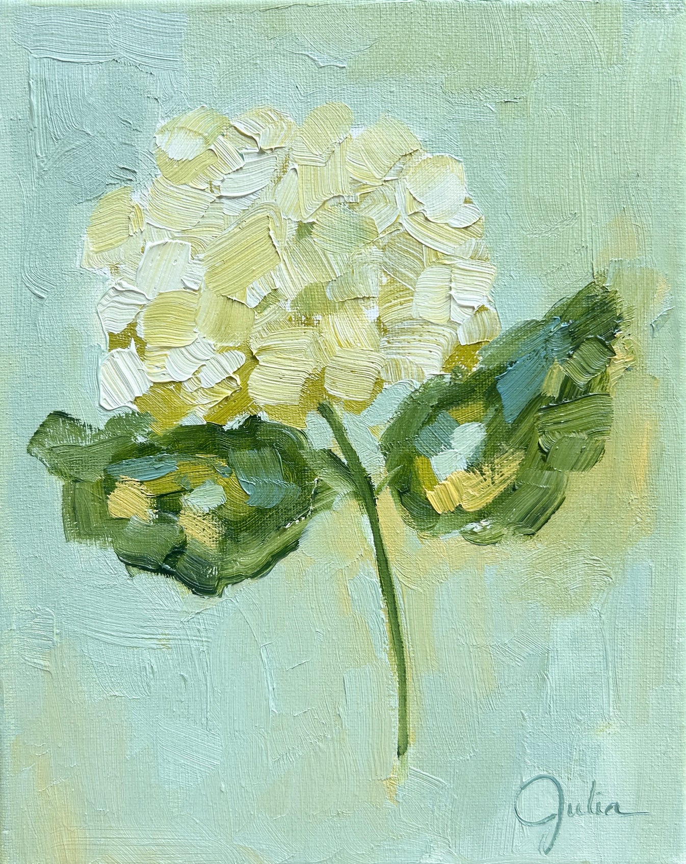 "Light Revealed" - 8 x 10 Oil on Canvas – Julia Hetzel Fine Art